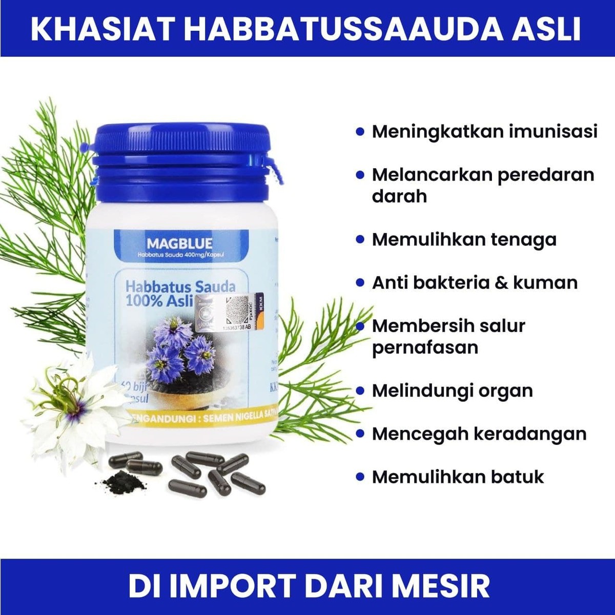 Habbatus Sauda by MexBlue